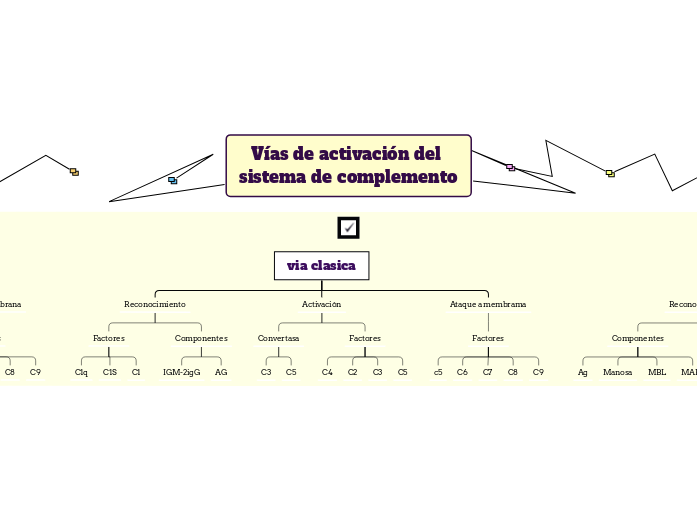 Vías de activación del sistema de compleme...- Mind Map